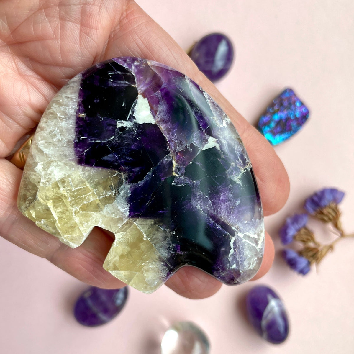 Dawn Bear - Fluorite Bear Carving - Dakota Nature LLC - Dakota Nature LLC